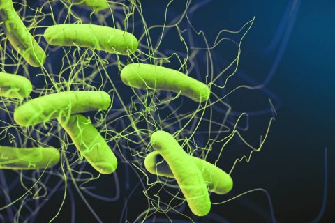 C diff colitis: What's Your Risk of a C difficile Infection?—Crestone