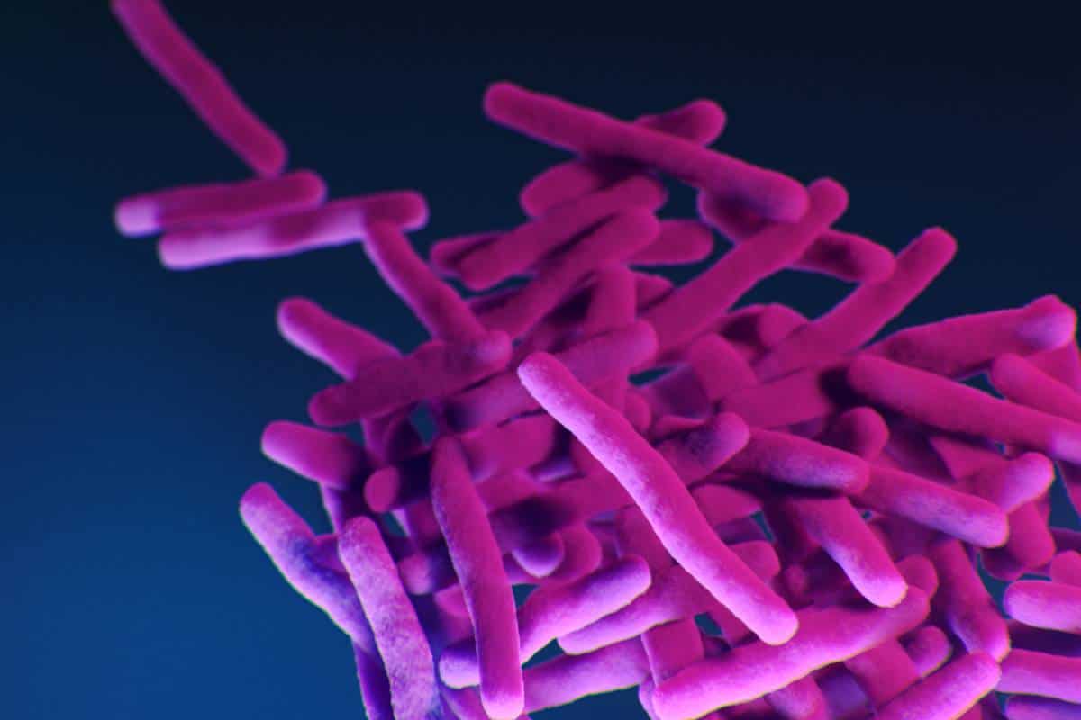 CRS0393 - R&D for Tuberculosis & Nontuberculous Mycobacteria